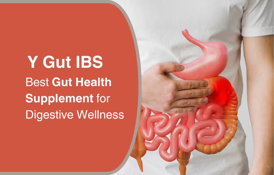 Y Gut IBS: Best Gut Health Supplement for Digestive Wellness – Yogveda Healthcare