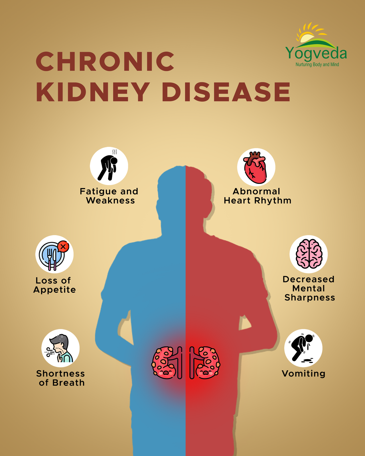 CKD Treatment | Kidney Creatinine Medicine – Yogveda Healthcare
