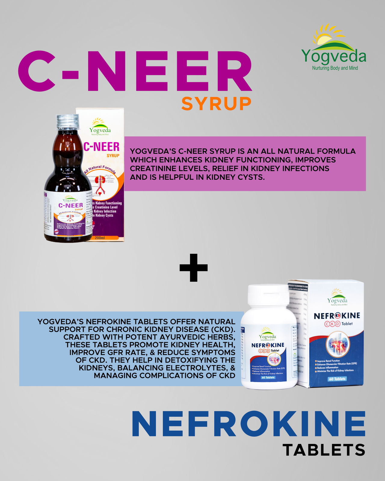 CKD Treatment | Kidney Creatinine Medicine – Yogveda Healthcare