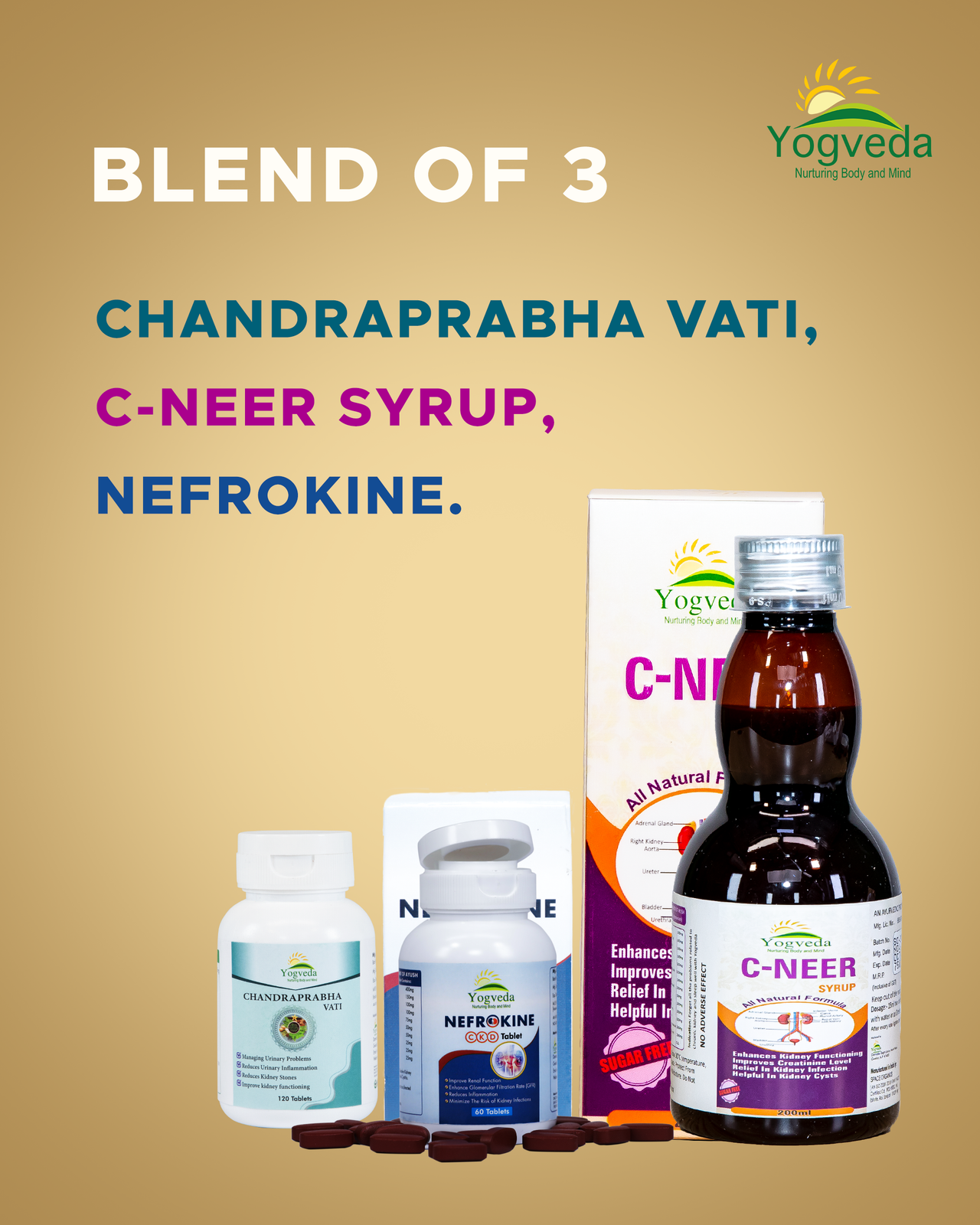 CKD Treatment | Kidney Creatinine Medicine – Yogveda Healthcare
