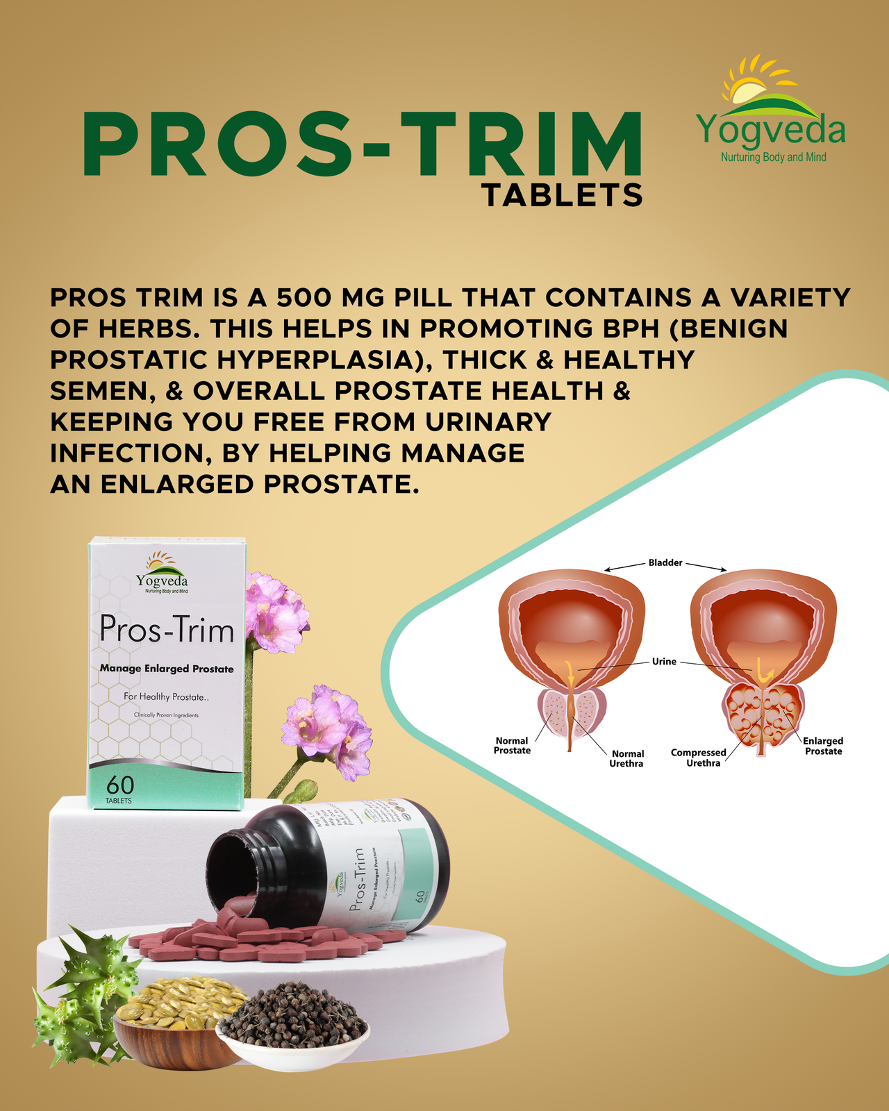 Ayurvedic Medicine for Prostate Enlarged, Infection Treatment, No ...